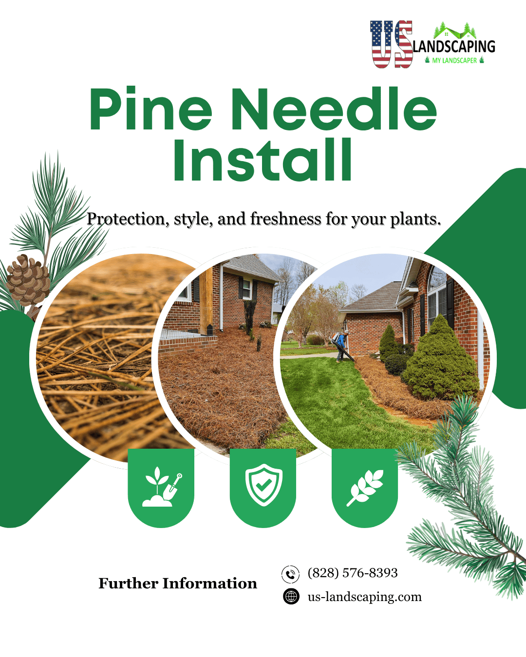 🍂 Pine Needle Install: Natural protection and clean style for your yard. Hickory